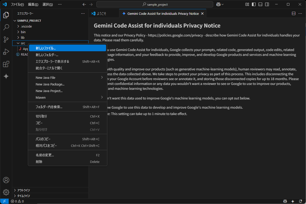 VS Code + Gemini Code Assist で Java プログラミング（1）環境構築 | knovus